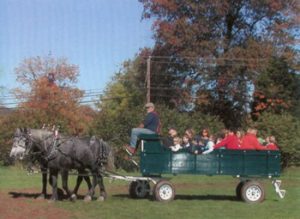 Hay rides, sleigh rides, and carriage rentals for parties and events