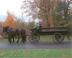 Hay rides, sleigh rides, and carriage rentals for parties and events